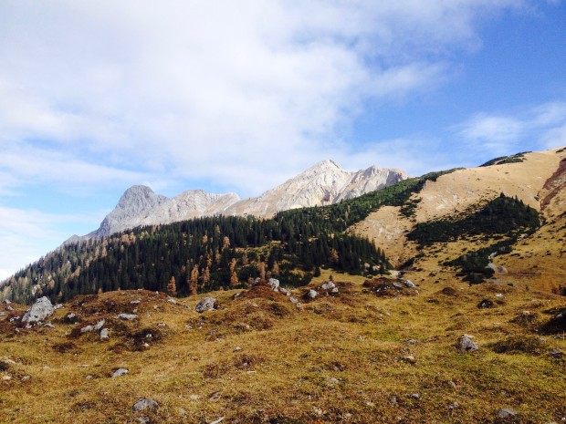 karwendel_steinfalk_2079 › mehr-berge.de