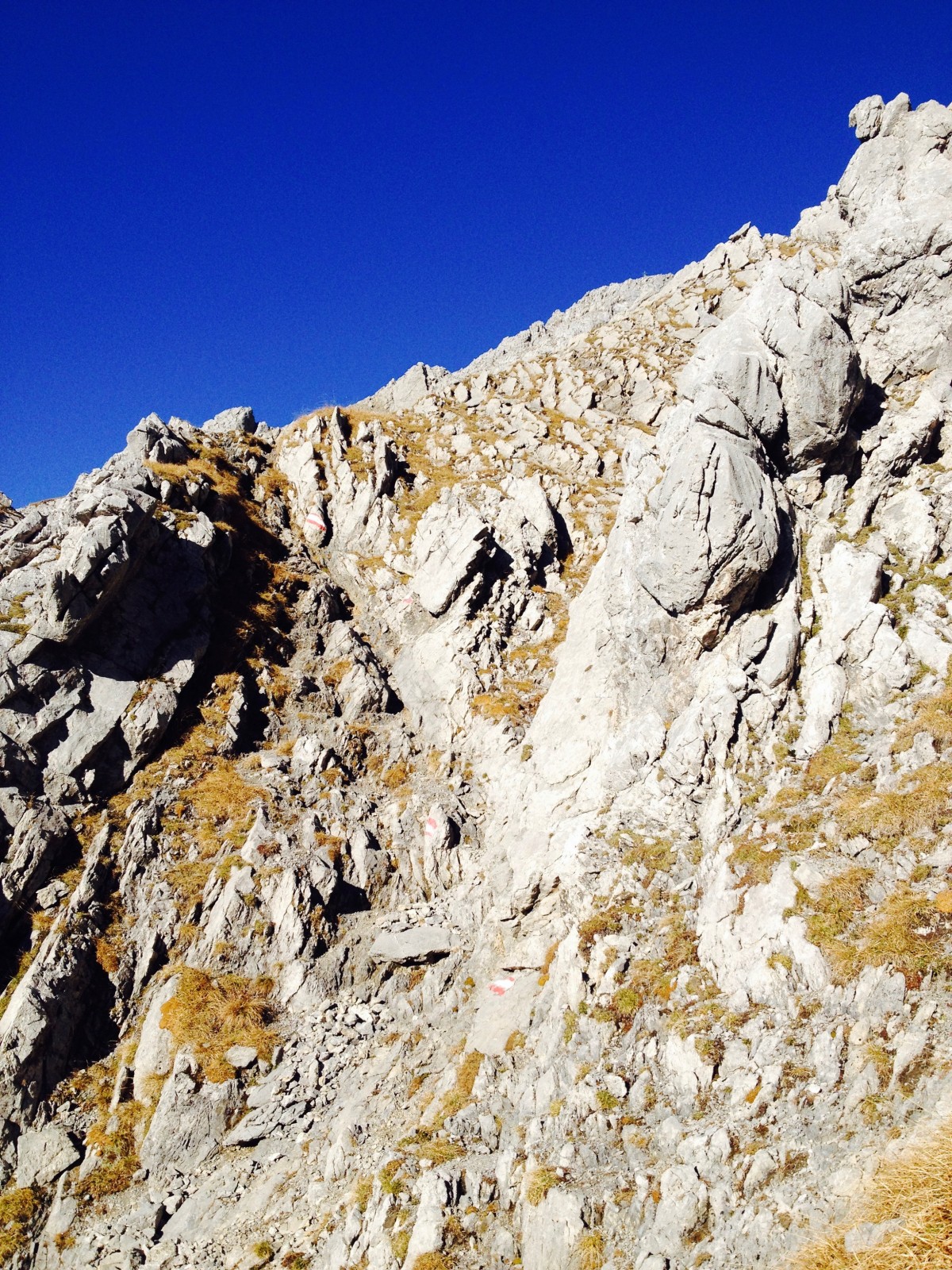 karwendel_steinfalk_2172 › mehr-berge.de