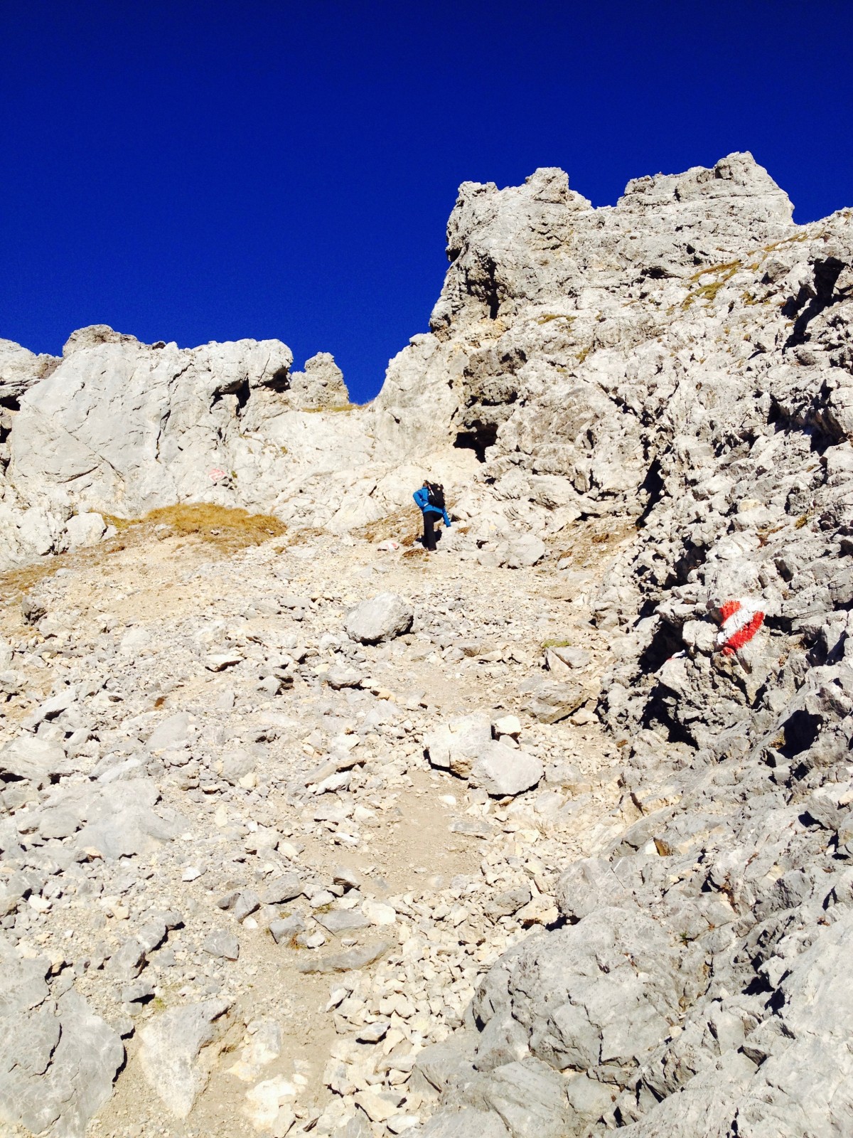 karwendel_steinfalk_2178 › mehr-berge.de