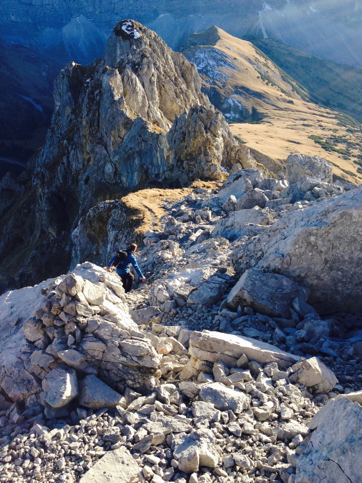 karwendel_steinfalk_2206 › mehr-berge.de