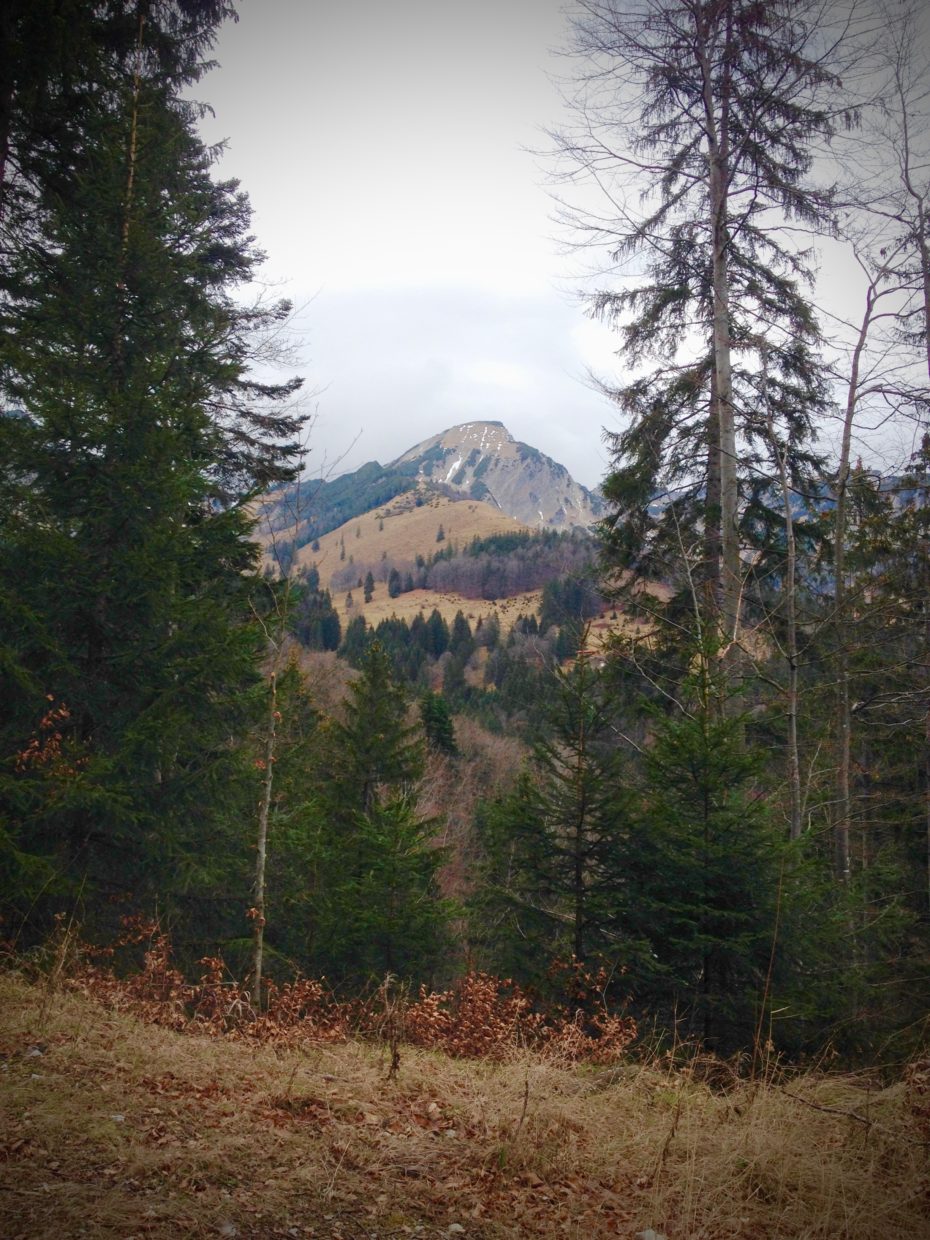 chiemgau_geigelstein_wuhrsteinalm_winterwandern_2981 › mehr-berge.de