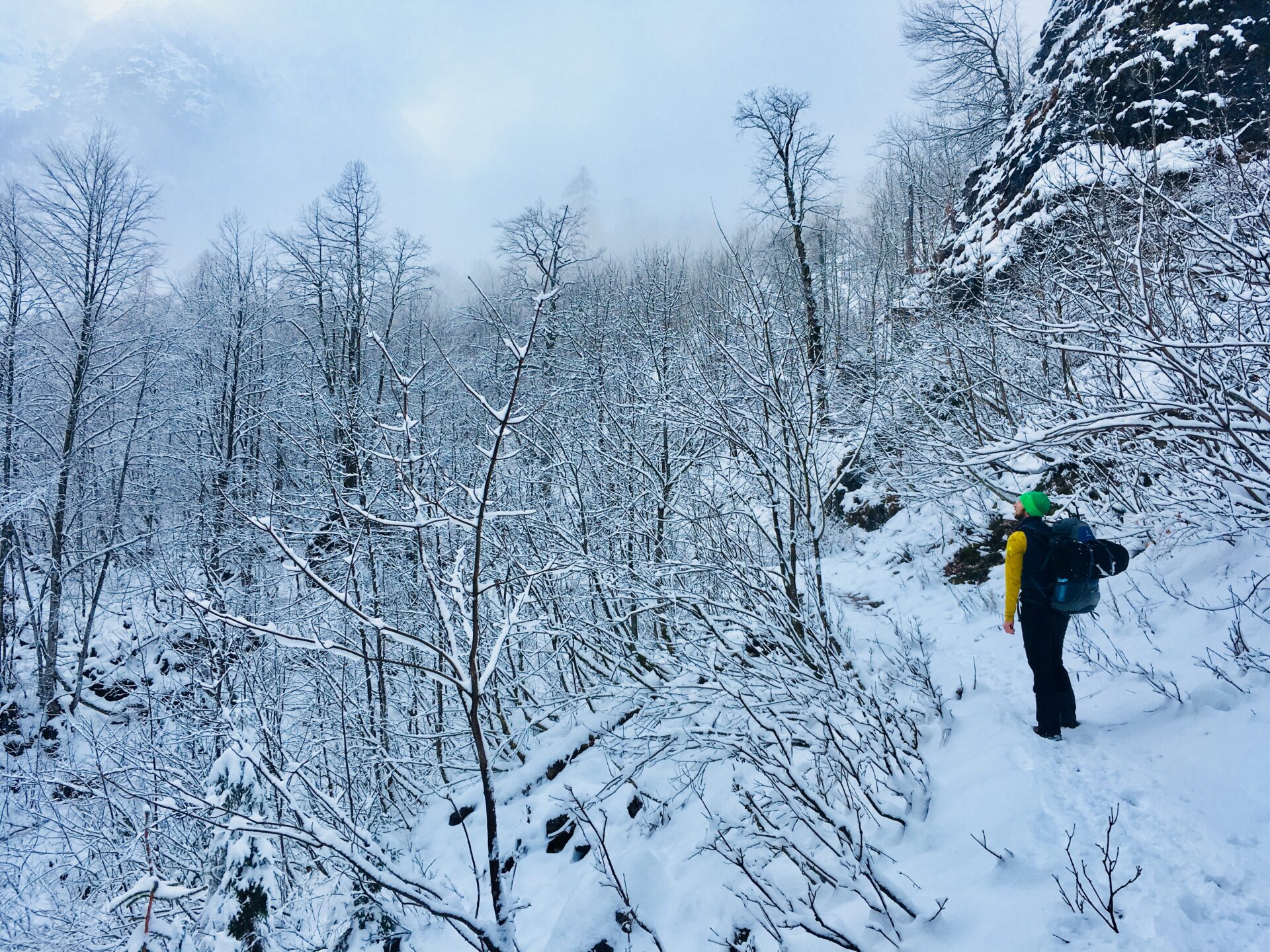 Einsame Winterraum-Tour: Mit Schneeschuhen auf‘s Kärlingerhaus › mehr ...