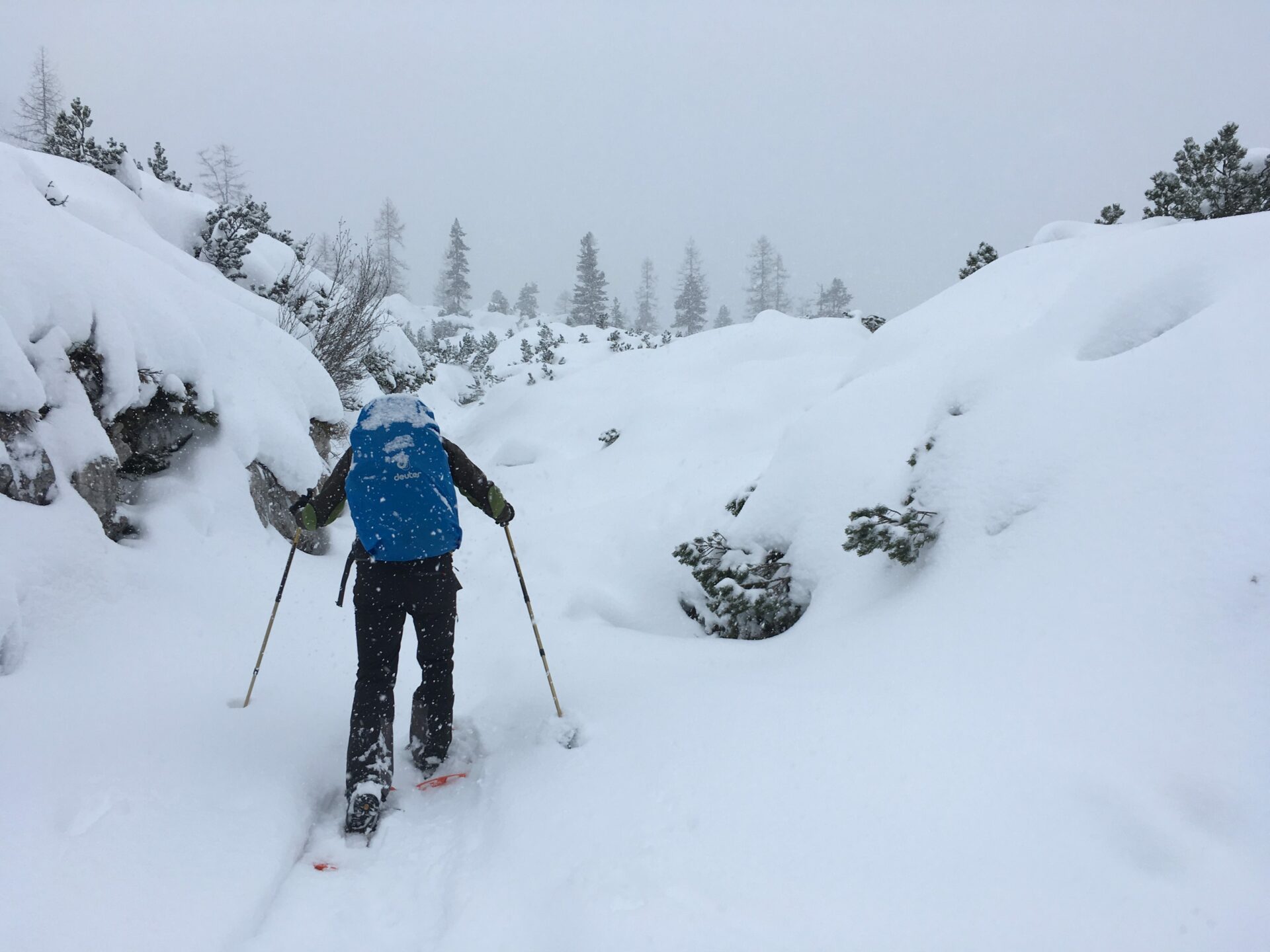 Einsame Winterraum-Tour: Mit Schneeschuhen auf‘s Kärlingerhaus › mehr ...