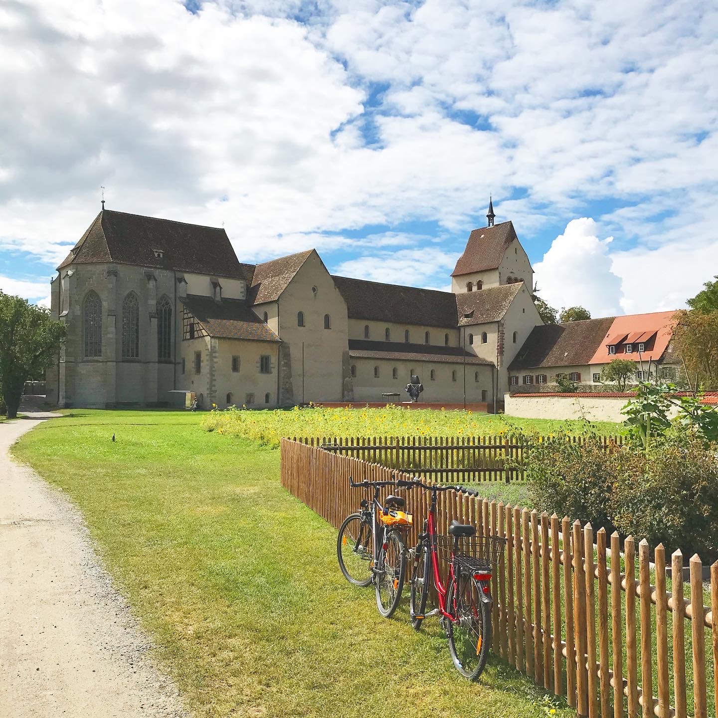 Bodenseeradweg und Welterbe: Von Radolfzell auf die Insel Reichenau ...