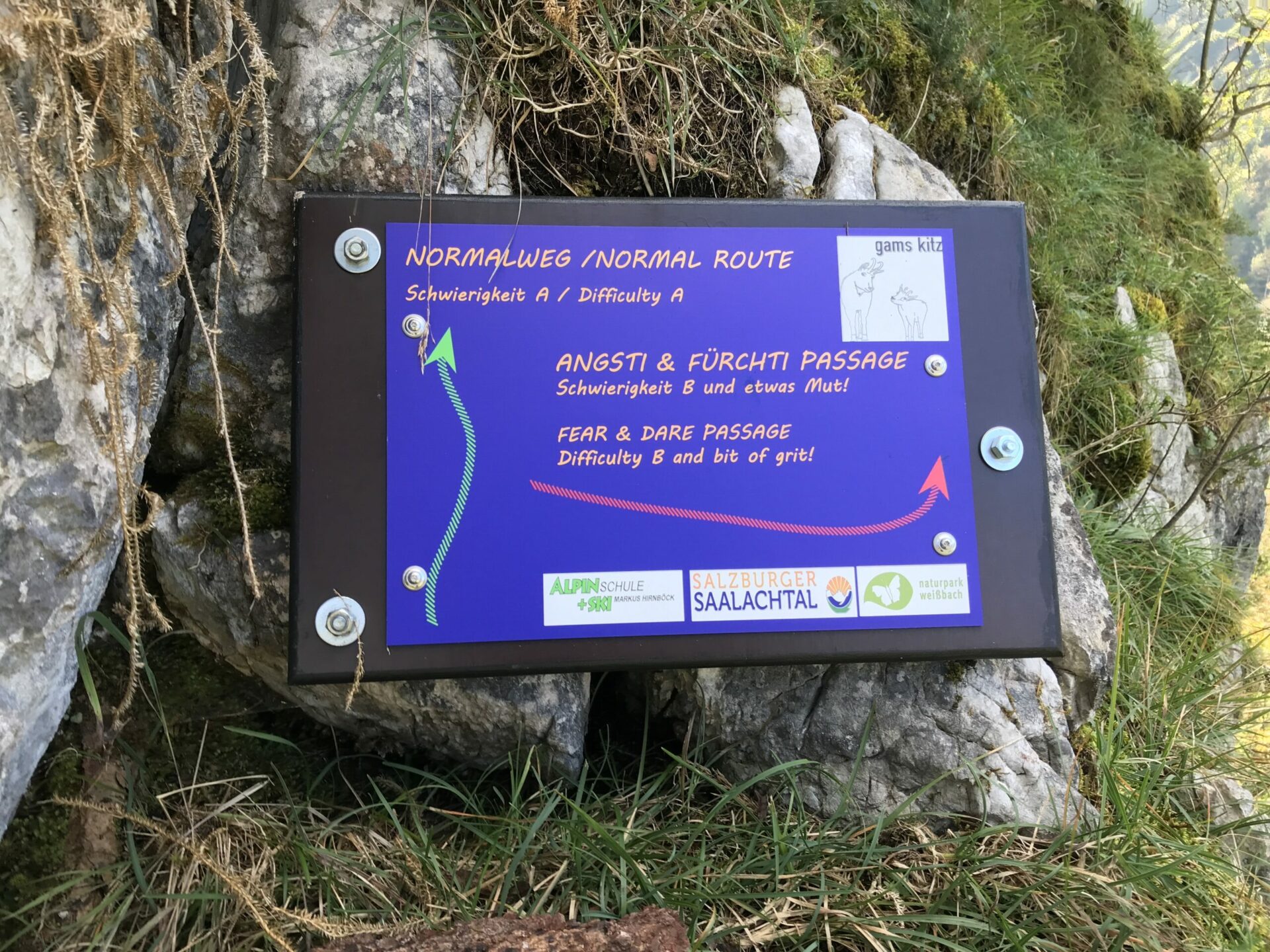 Gams Kitz und Zahme Gams - Familienklettersteige im Salzburger ...